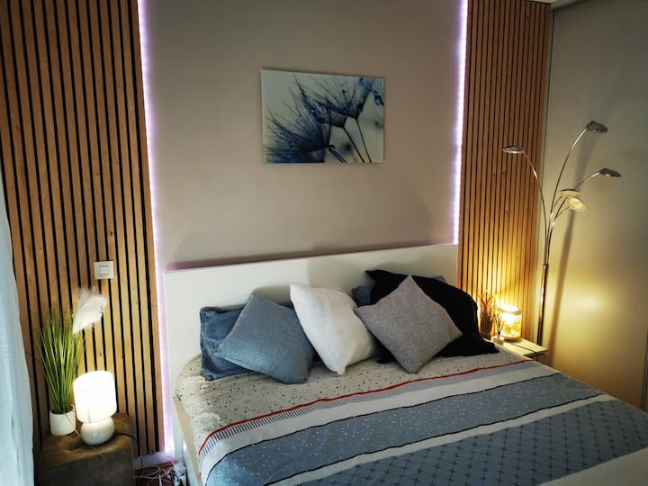Chambre Au Calme Très Bien Située Avec Sdb Privée - Toulouse