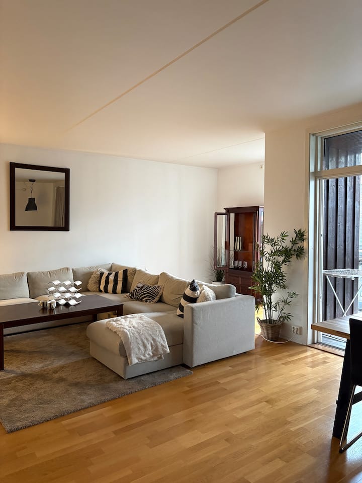 Romslig Og Moderne 3-roms Leilighet, 78 Kvm - Trondheim