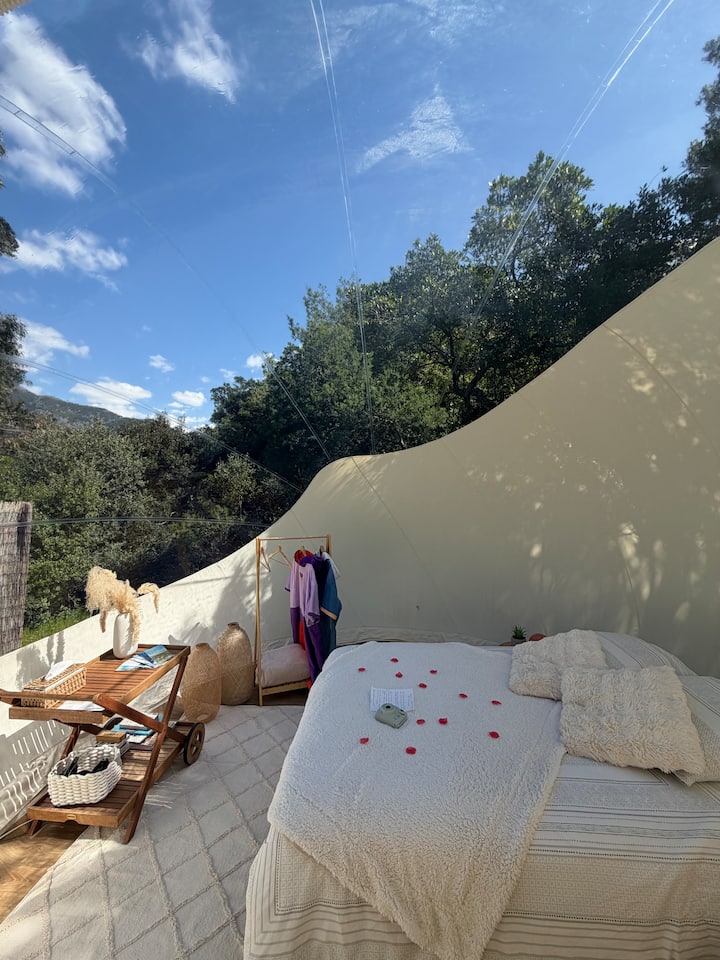 Bulle Insolite - Galéria