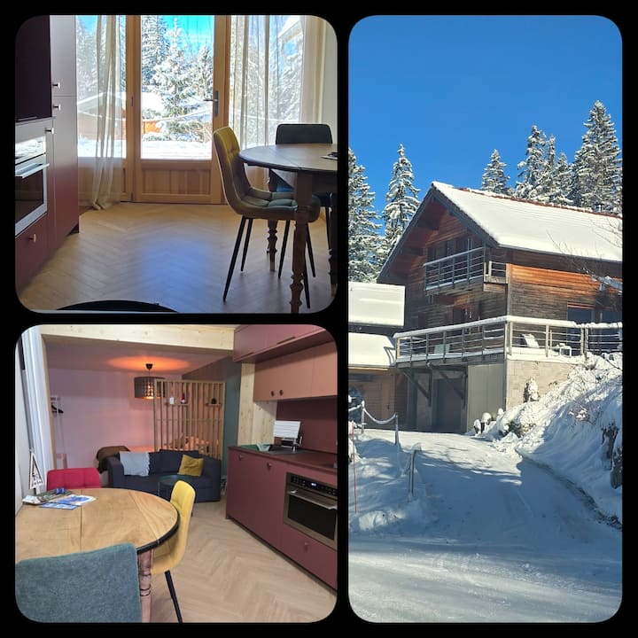 Cocon Cosy & Moderne Accès Direct Ski Et Randonnée - Prémanon