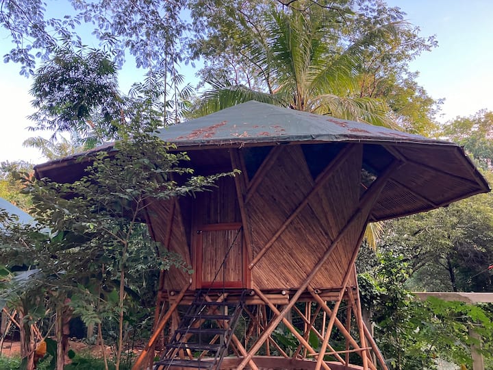 Casa Bambú - Tabasco