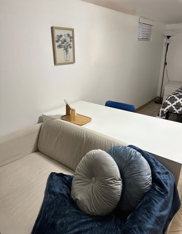 Entire Studio With Kitchen - Toronto
