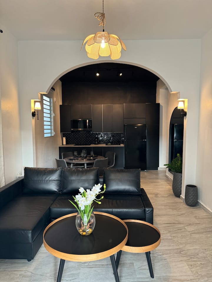 Santurce2 King Bedswalk To Beach & Calle Loiza - Puerto Rico