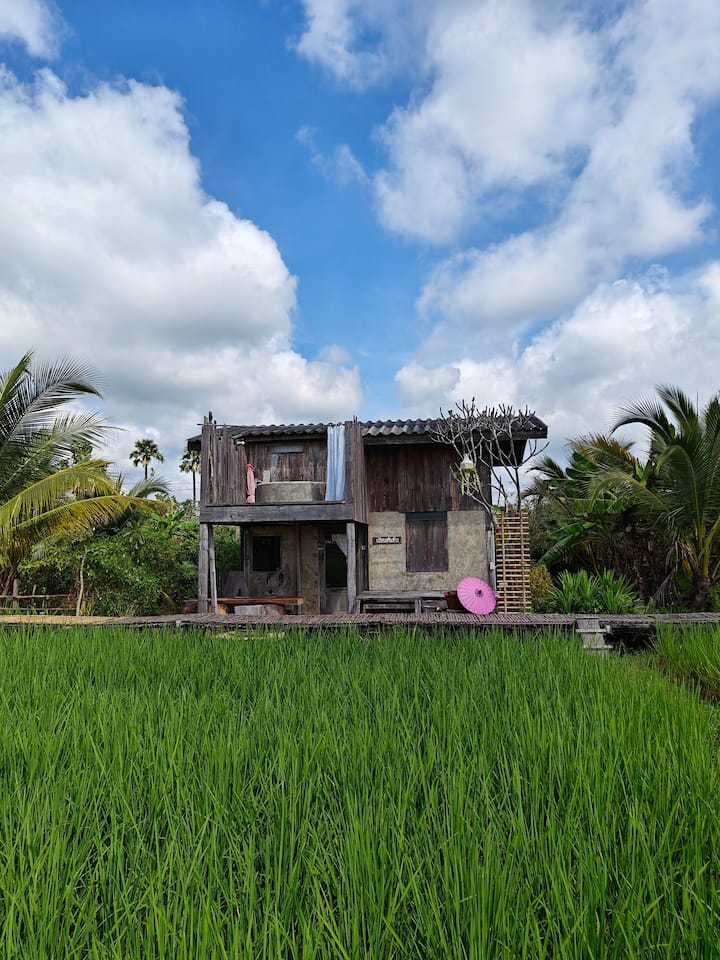 เฮือนต้นข้าว - Chom Thong District