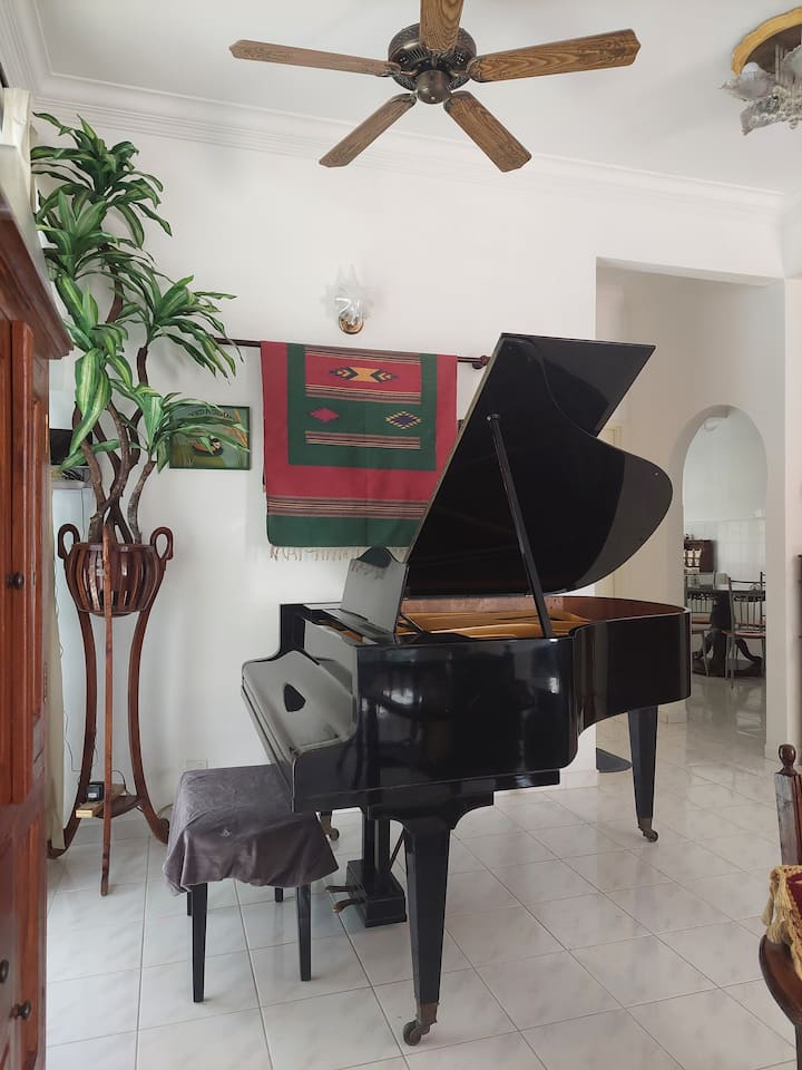 2 Story Semi-detached House With Private Backyard - George Town