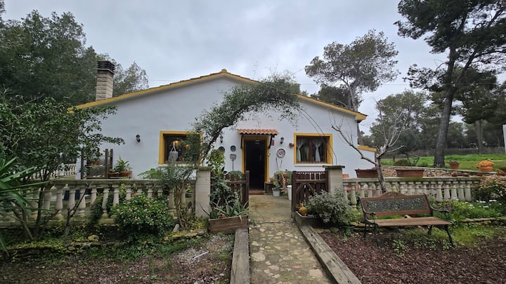 Casa Rural Refugio Del Bosque - El Vendrell