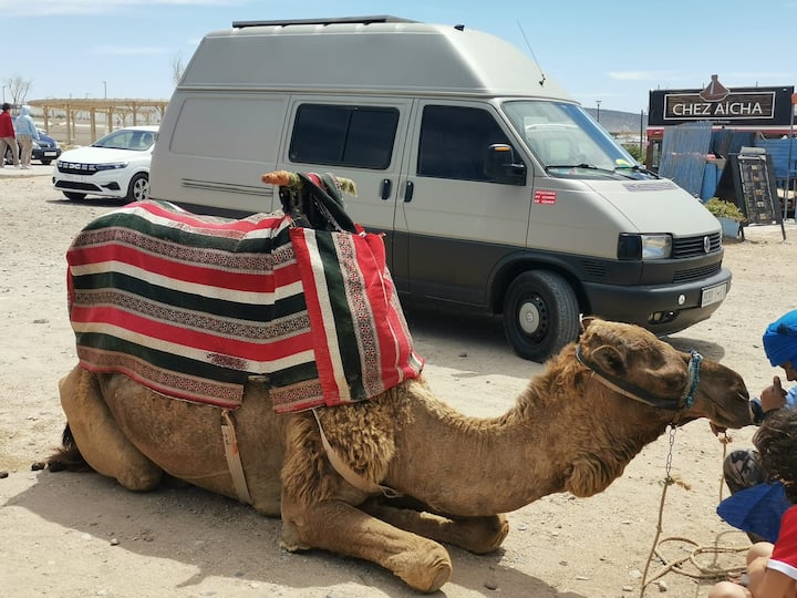 Volkswagen T4 Camper - 