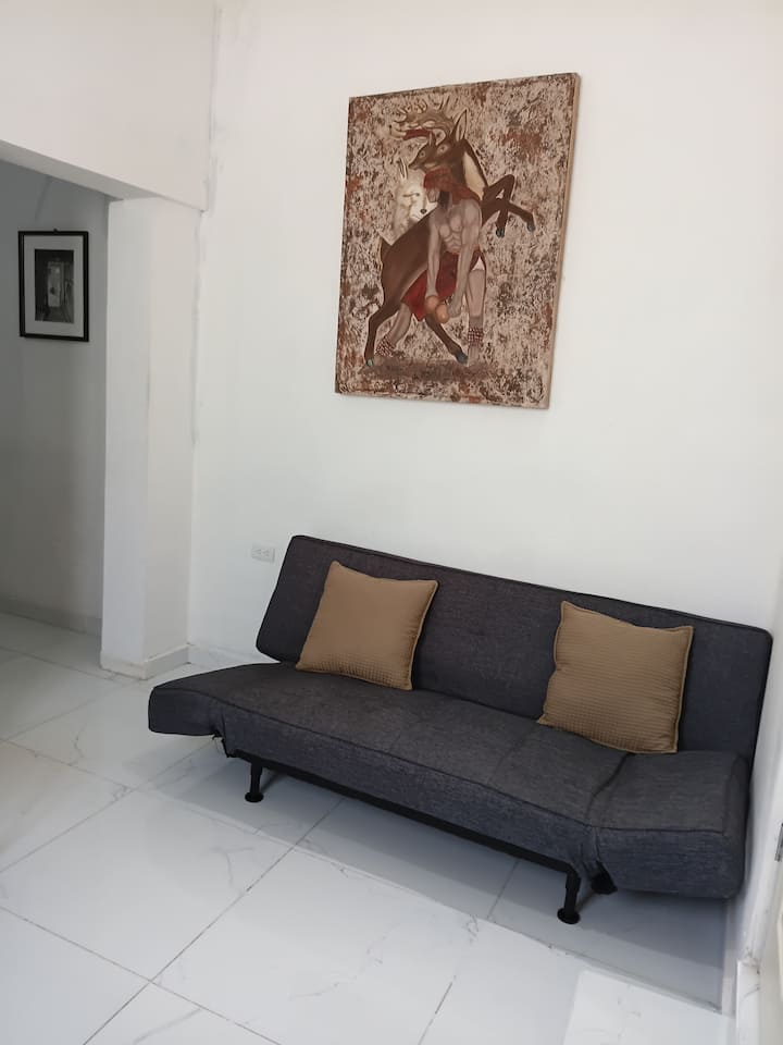 Refugió Urbano: Privado Y Silencioso En El Centro. - Navojoa