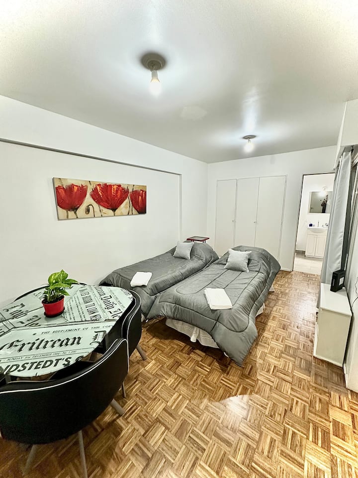 Studio Apartment In Recoleta! - Recoleta