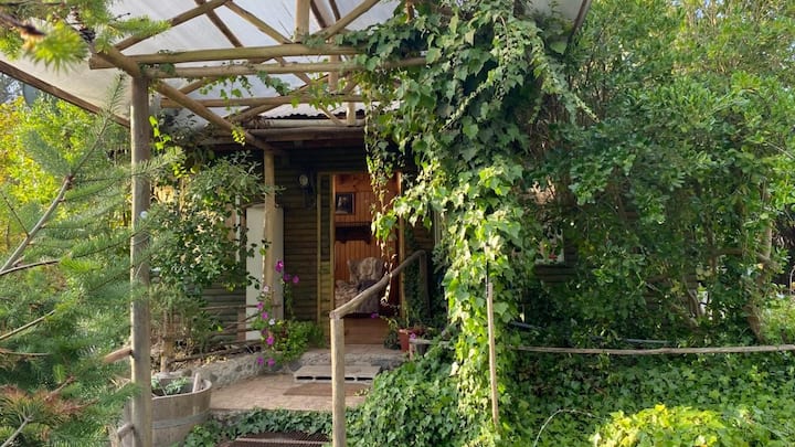 Cabaña Horcón - Quintero