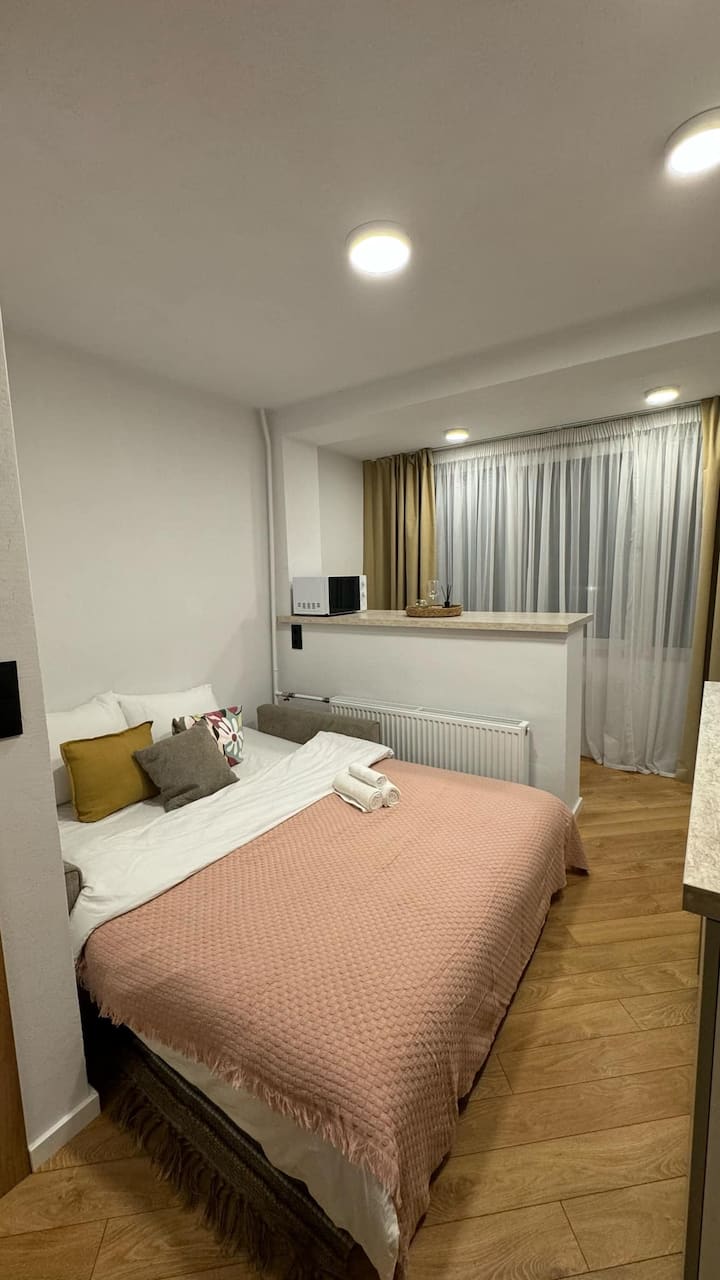 Budget Skandistay Studio Near The Centre - Vilna