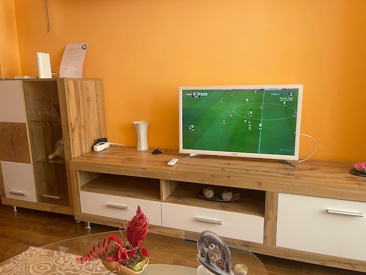 Apartament Gabriela - Vulcan