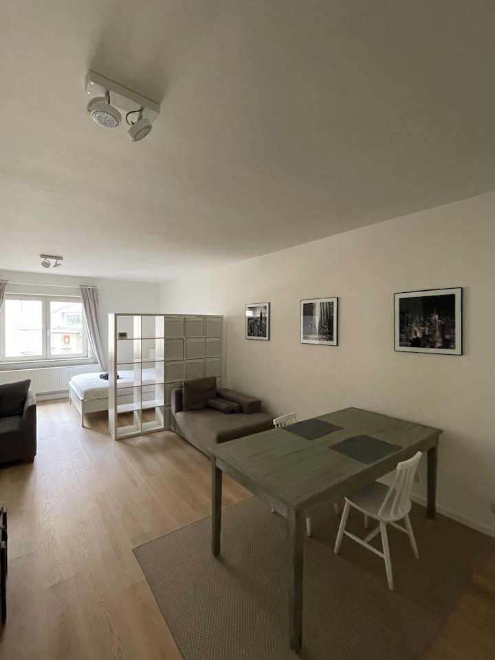 Emplacement Idéal Pour Visiter Bruxelles - Forest