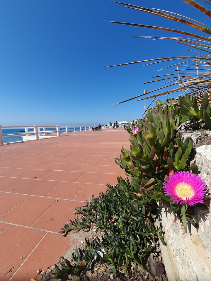 Maison à Santa Marinella « La Dolce Vita » - Santa Marinella