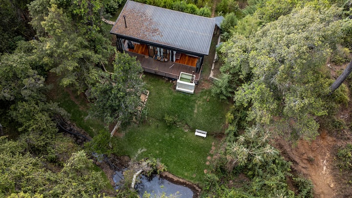 Forrest Riverside - Kenia