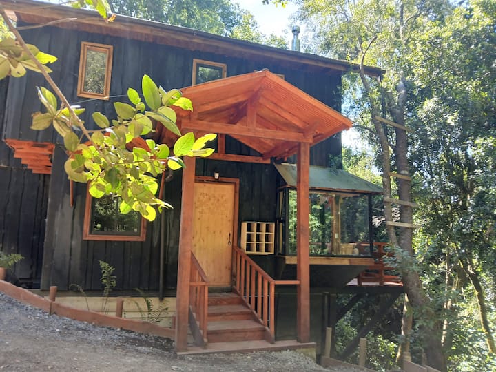 Cabaña En El Bosque - Pucón