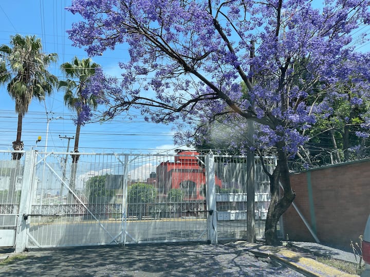 3 Depas Cerca Aeropuerto Y Zócalo - Mexico State