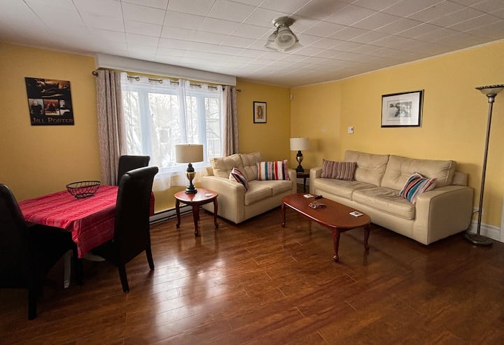 Bright 2-level Apt Near Hospital, Mun, Yyt, & Dtwn - St. John’s