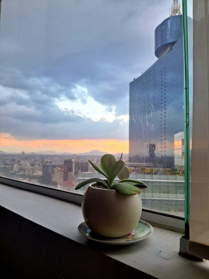 Maravillosa Vista Al Wtc - Mexico