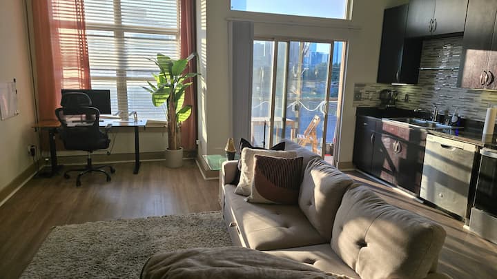 The Loft / Downtown Dallas Views - Dallas, TX