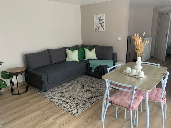 Confortable Logement: Cdg, Paris, Parc Expositions - Tremblay-en-France