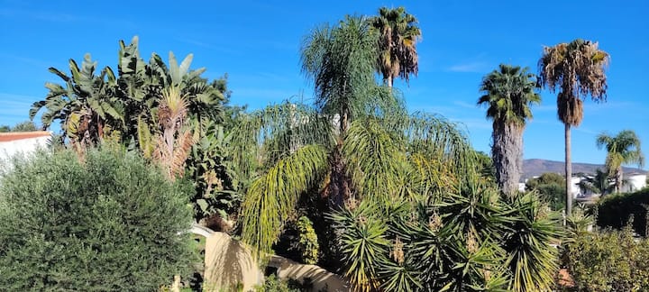 Petit Cocon Terasse +Pool 3mn From Olhão, 7 Beach - Faro