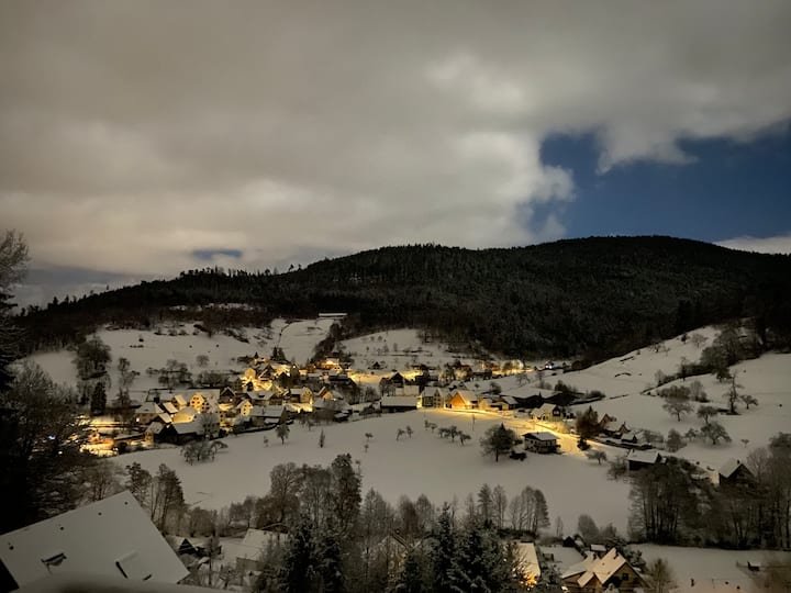 Duplex «&nbsp;L’épicéa&nbsp;» Sur Les Hauteurs Du Village - Metzeral