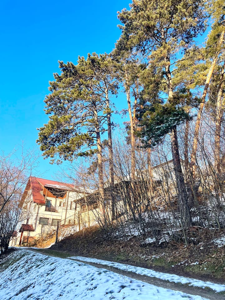 Vila Almir - Brașov