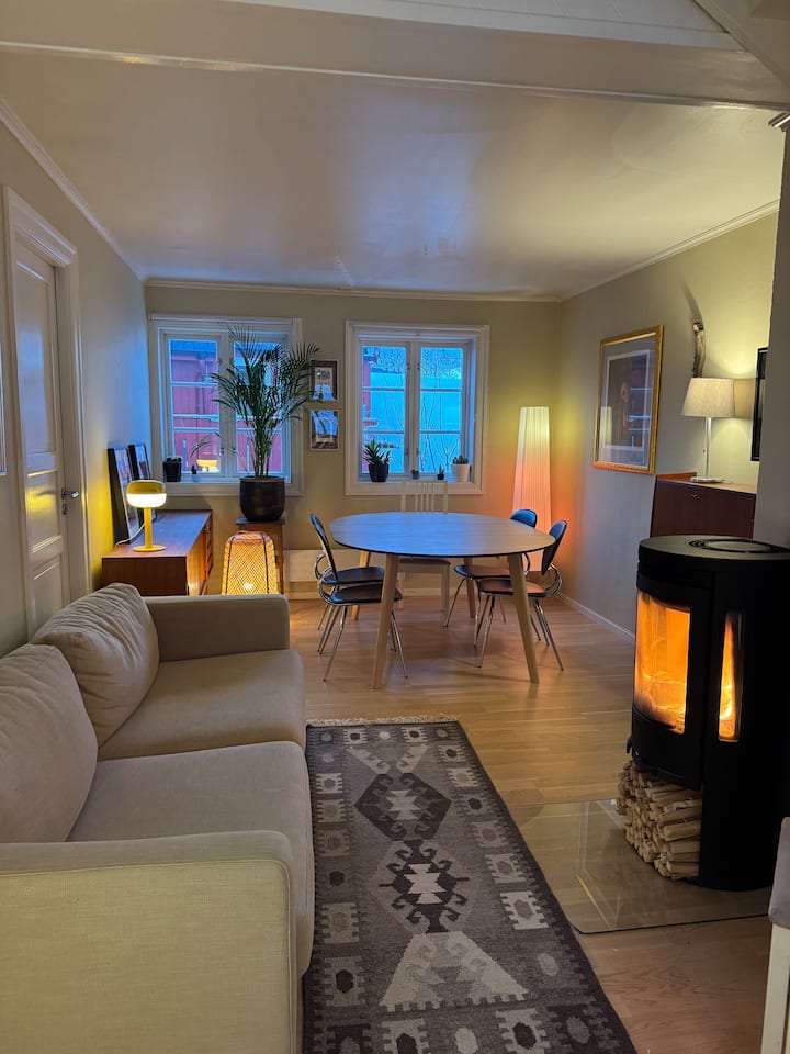 Loftstue På Bakklandet - Trondheim