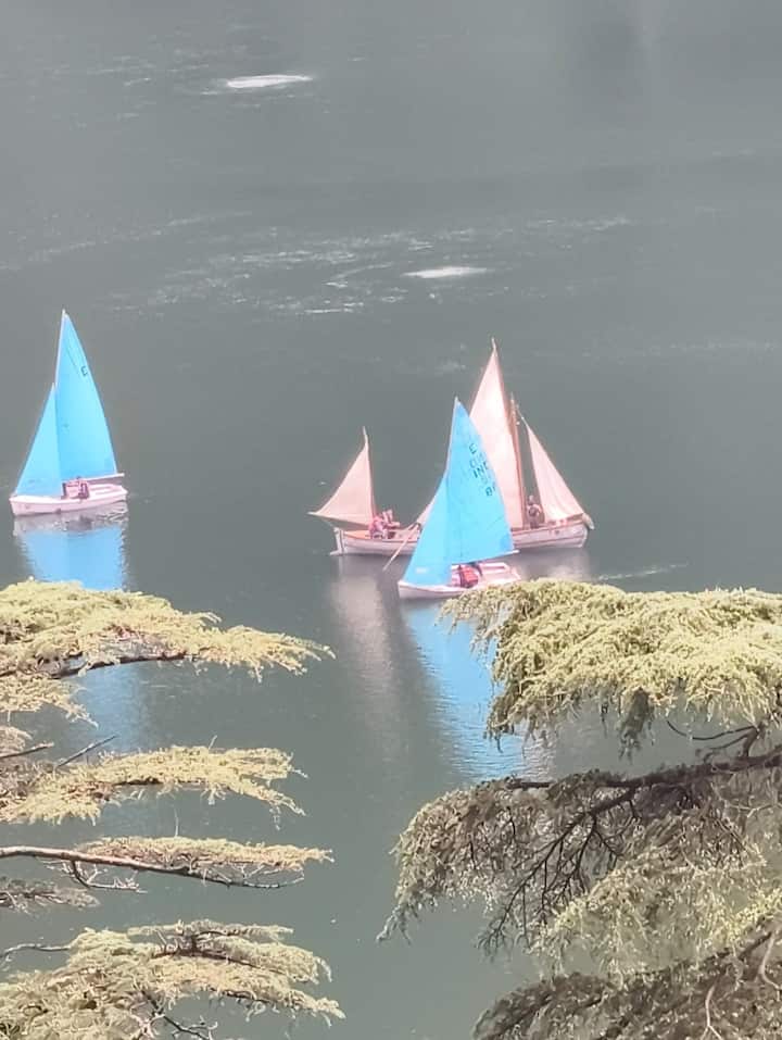 Lake Jungle House Nainital - Nainital