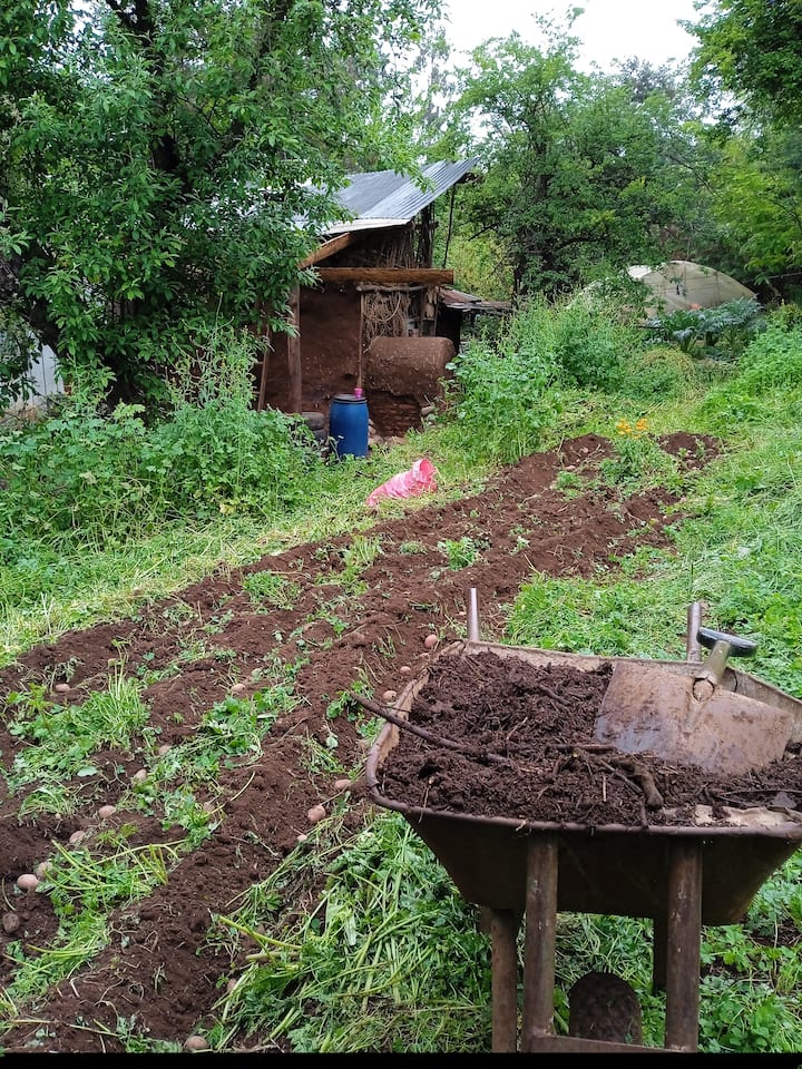Refugio En Bioconstrucción Barro - Mulchen