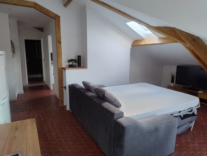 Appartement Nice Gambetta - ibis budget Nice Californie Lenval