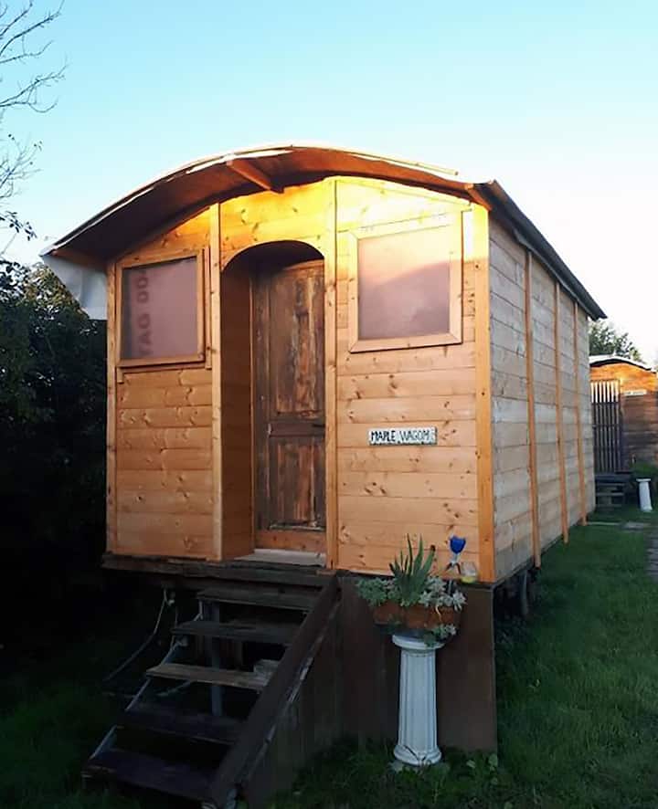 Antico Carro Da Trasporto Ora Comoda Camera Estiva - Veneza