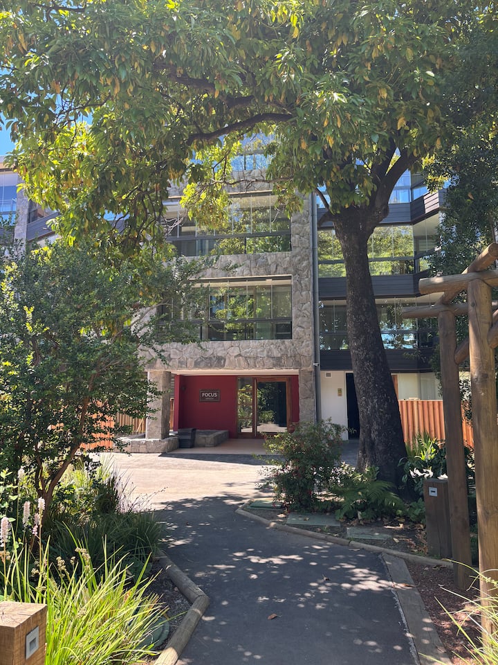 Agradable Departamento En Pucón - Pucón