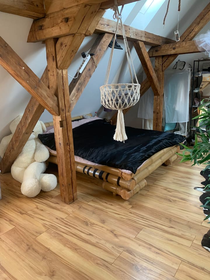 Zimmer In Altstadt - Regensburg
