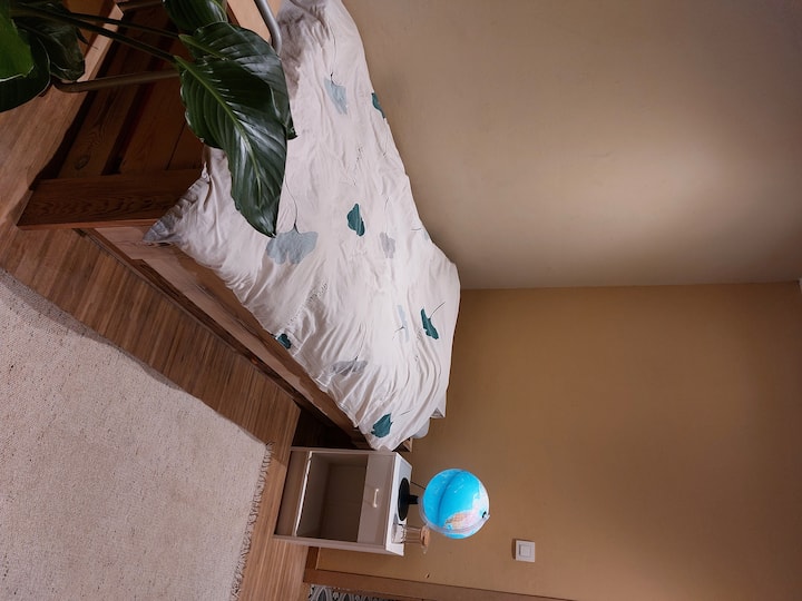 Ecologische Woning A/d Stadsrand - Ghent (Belgium)