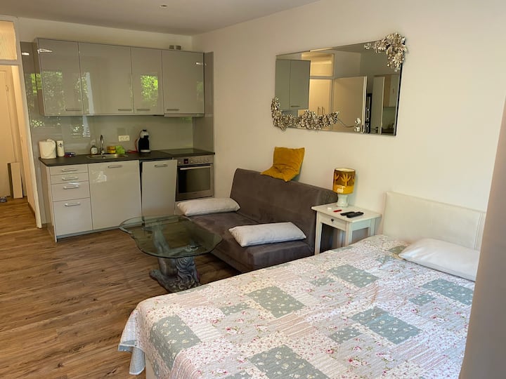 Studio Flat With Garden Cebtrum -