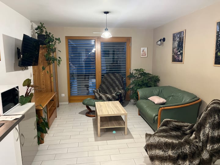 Gîte De L’api De La Broque - Orbey