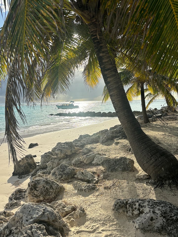 Rose Apartments- Close To Beach W/ Pool- Unit C - Worthing