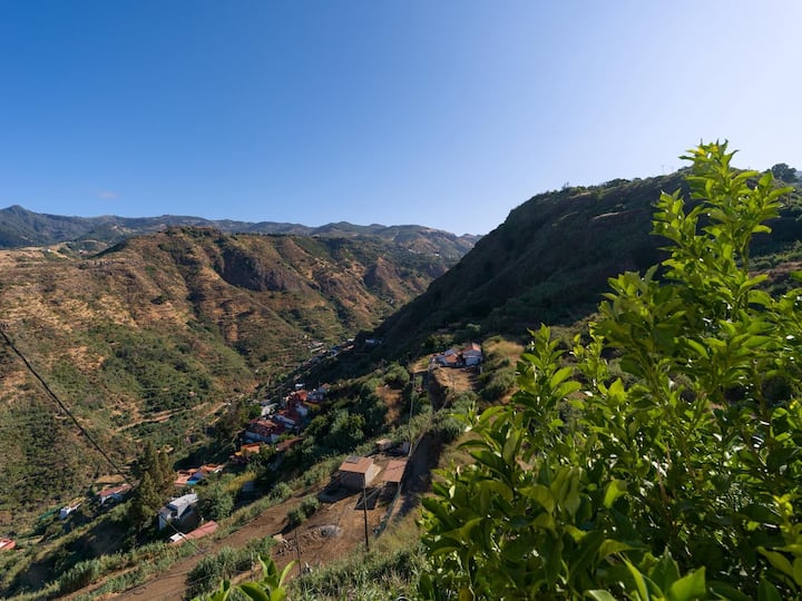 Ancana - Tejeda