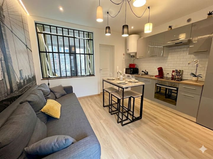 T2 Cocoonings Et Climatisé à St ÉTienne - Saint-Étienne