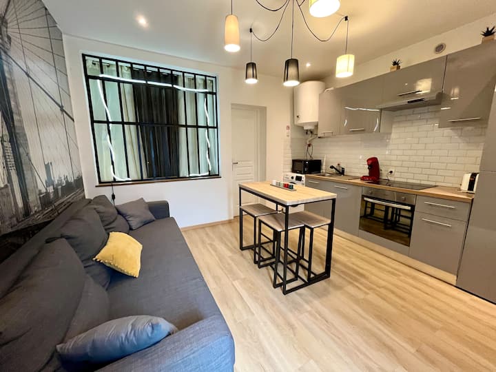 T2 Cocoonings Et Climatisé à St ÉTienne - Saint-Étienne