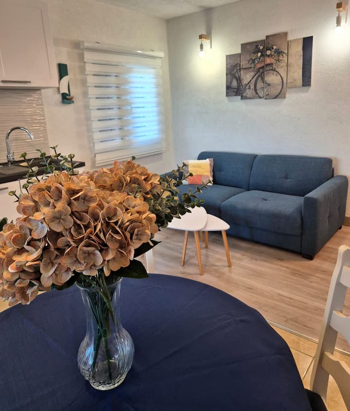 Apartments Buktenica - Bol