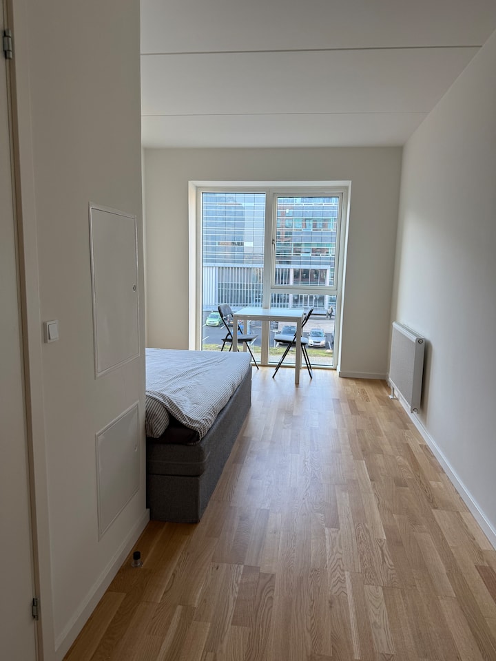 Cozy Modern Studio Near Center - Copenhague