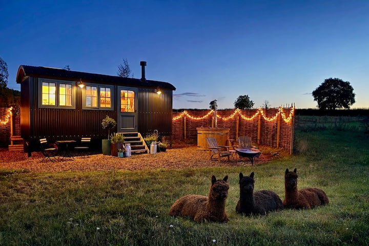 Freddie Shepherd Hut, Alpacas & Hot Tub – Oxford - Oxford