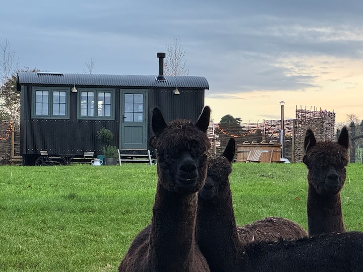Scandinavian Hot Tub Freddie Shepherd Hut - Oxford - Oxford