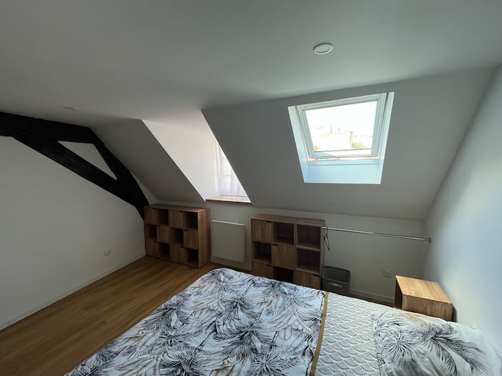 Appartement Spacieux Hyper Centre - Dijon