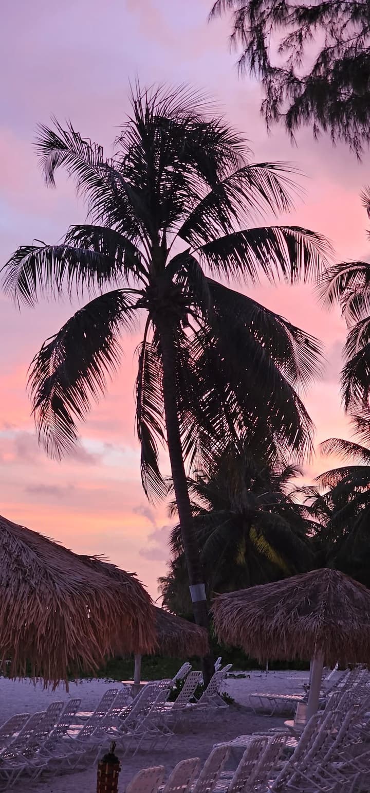 Rose Apartments- Close To Beach W/ Pool- Studio - Bridgetown, Barbados