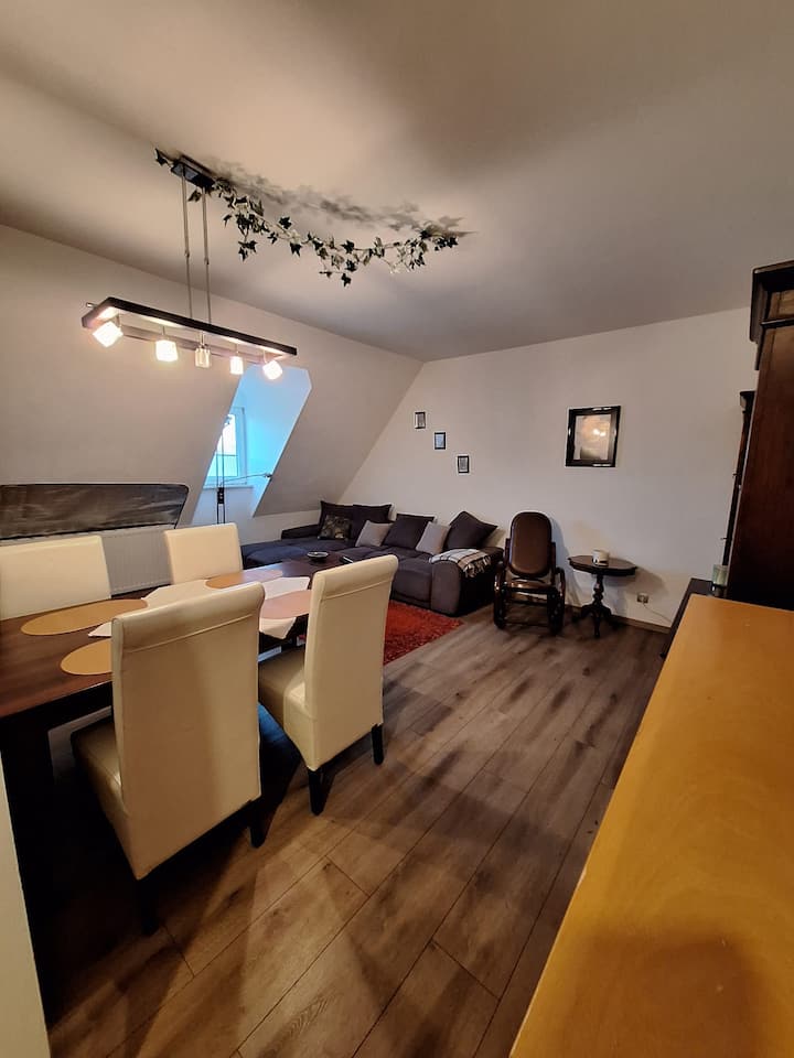 Gemütliches Appartament - Trossingen