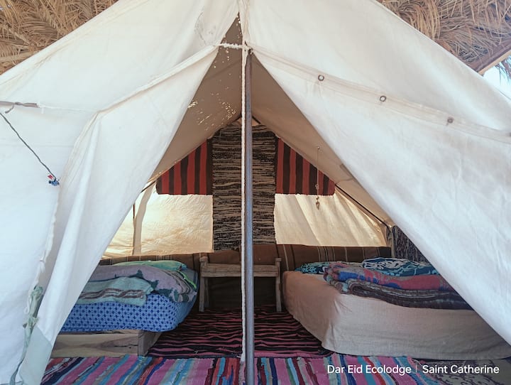Scenic Tent - Égypte